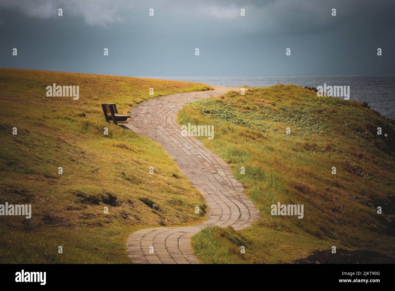 A stone walking path with two sides surrounded by lawn in the ...