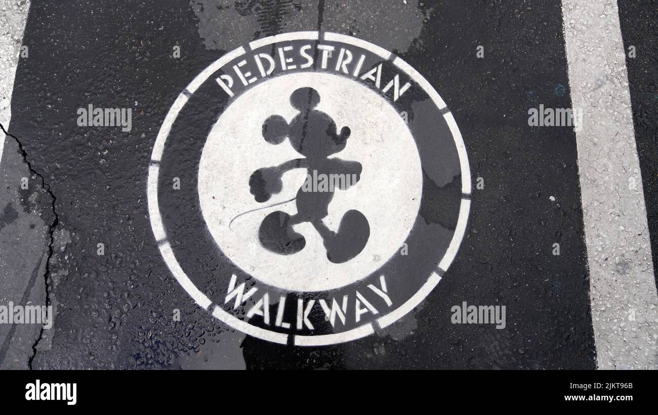 A ground signage marking "Pedestrian Walkway" at Walt Disney Studios in ...