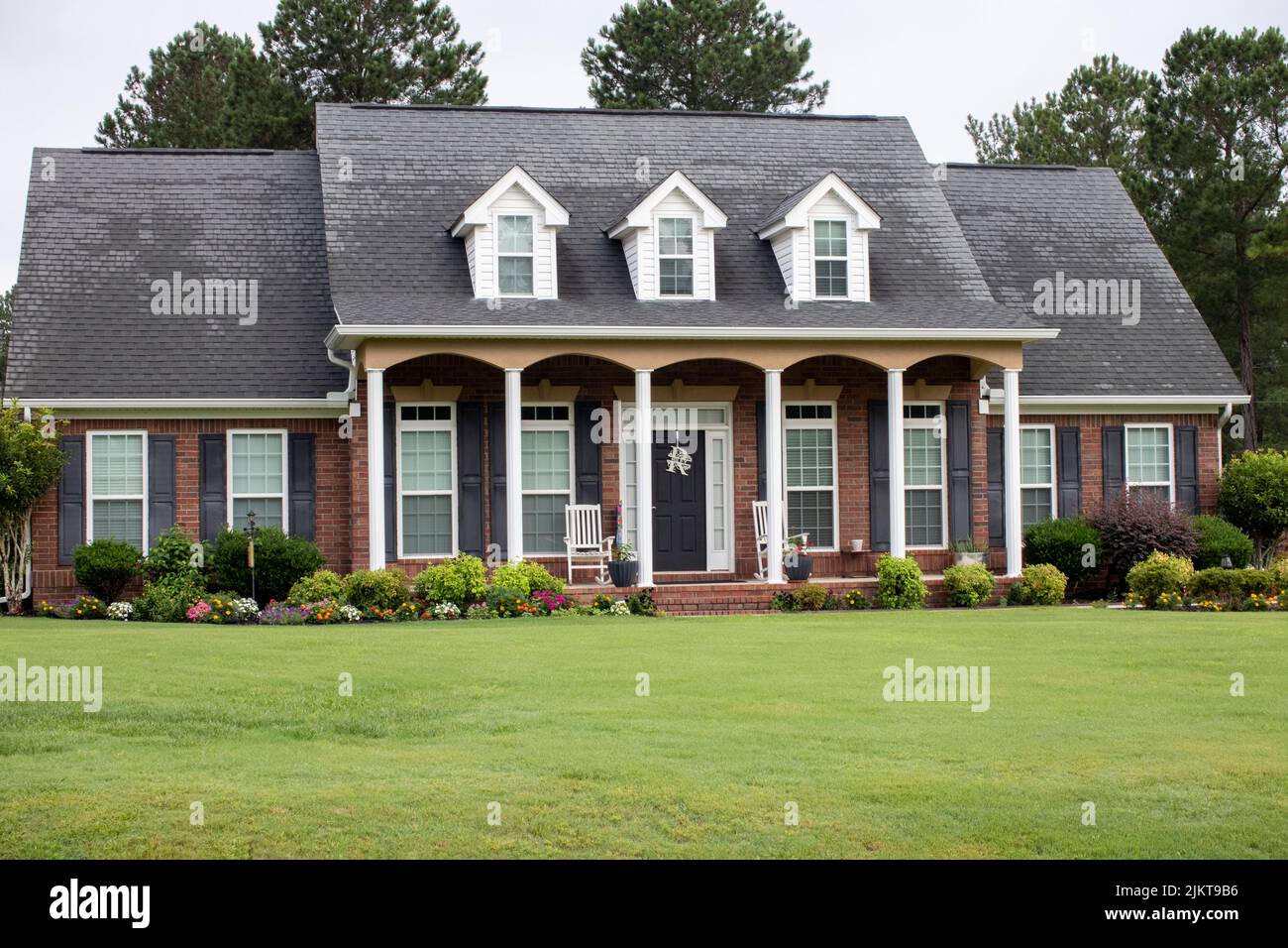 Tree branch columns hi-res stock photography and images - Alamy
