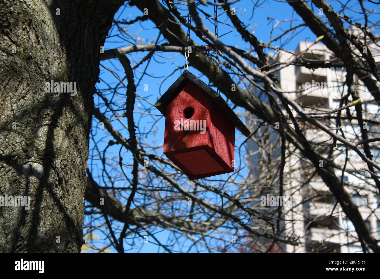 A wooden red bird house on the tree of downtown Vancouver in British ...