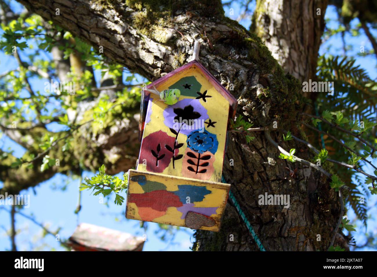 A wooden yellow bird house decorated with flowers the tree of downtown ...