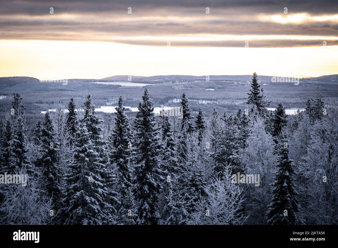Sweden forest aerial hi-res stock photography and images - Alamy