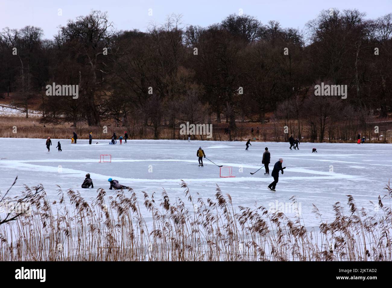 A beautiful view of the ice skating in Dyrehaven in Denmark Stock Photo ...