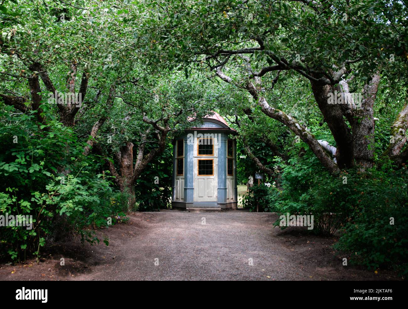 A view of the small house among the lush trees in the forest Stock ...