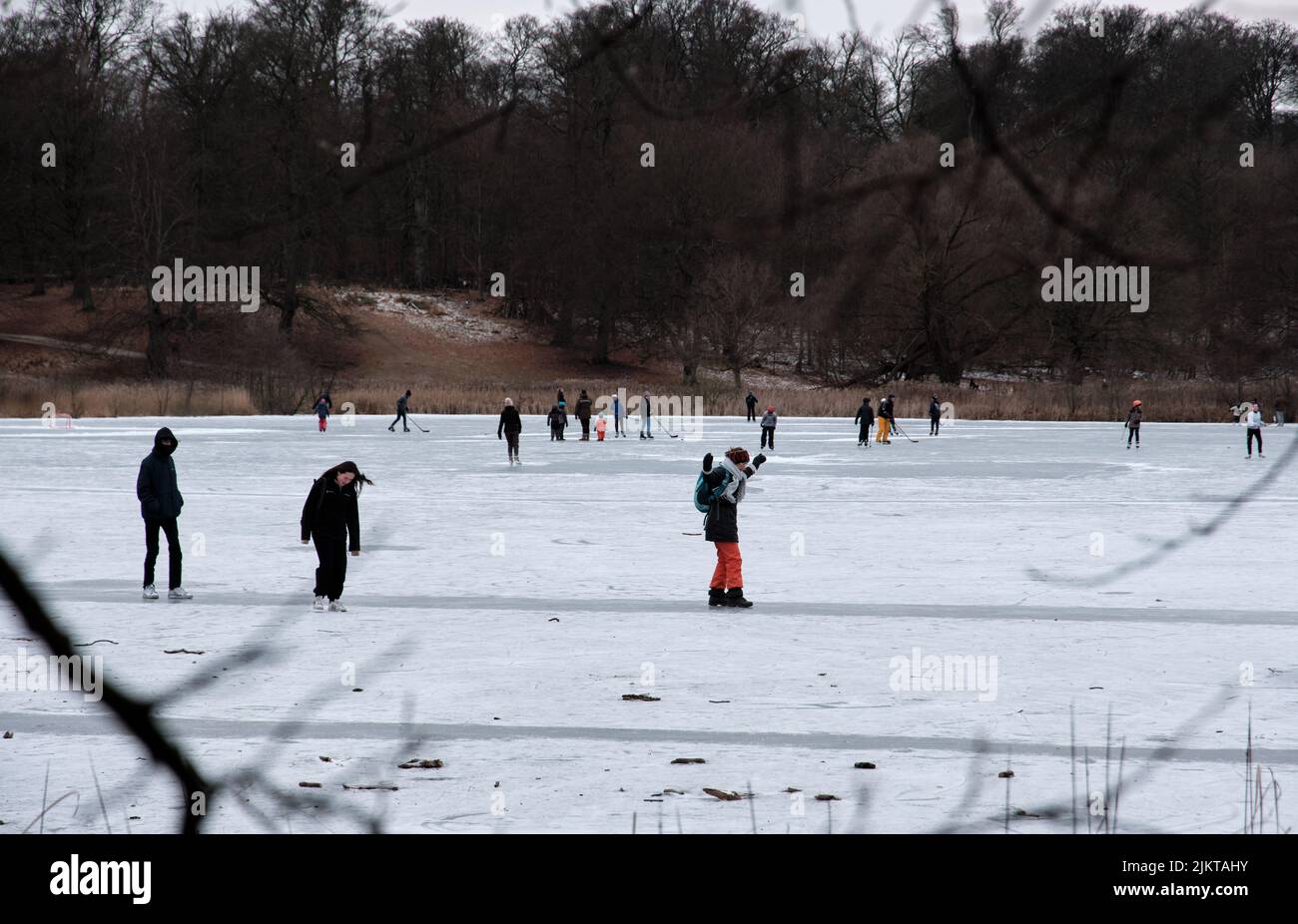 A beautiful view of the ice skating in Dyrehaven in Denmark Stock Photo ...