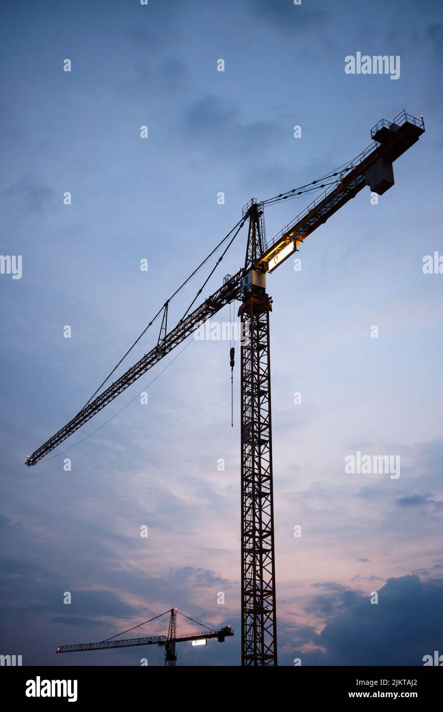 Most beautiful crane hi-res stock photography and images - Alamy