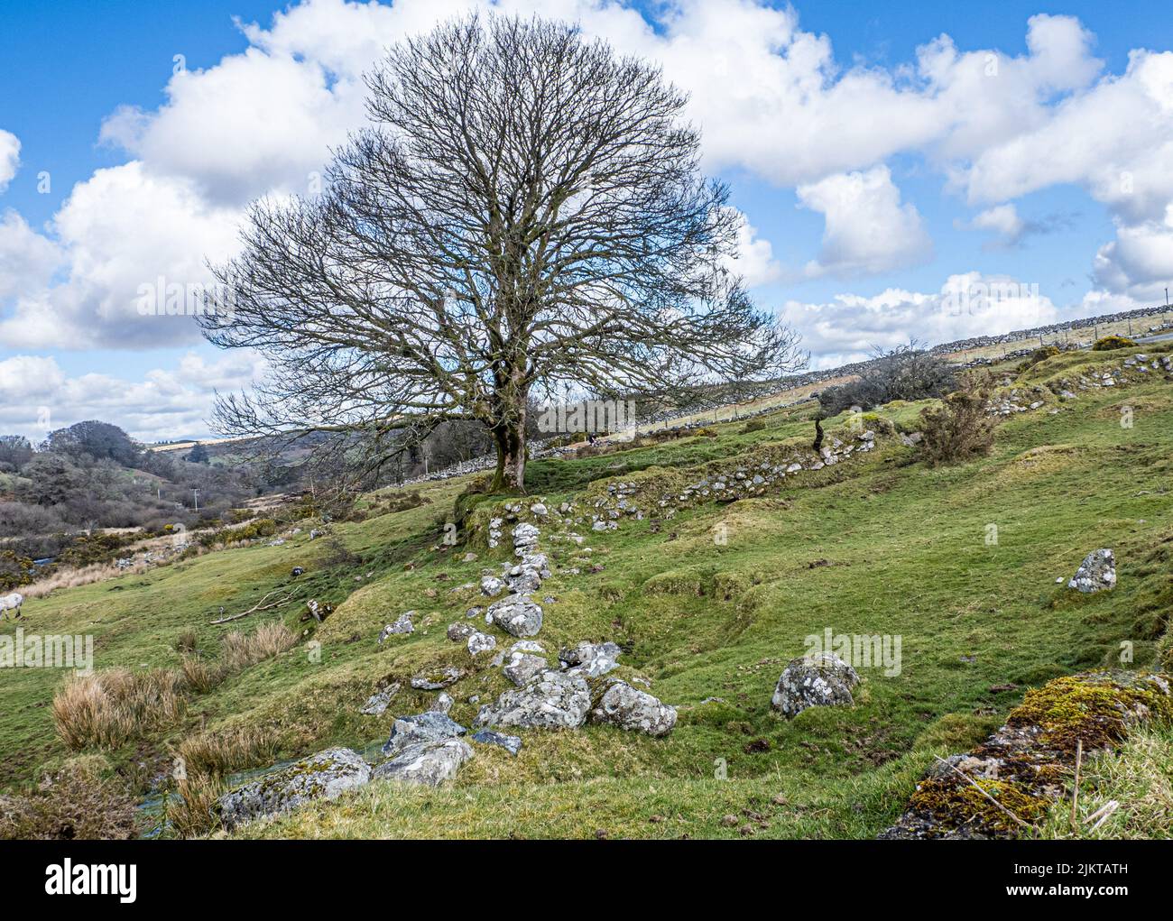 A photo of a natural landscape with hillside and trees and clouds in ...
