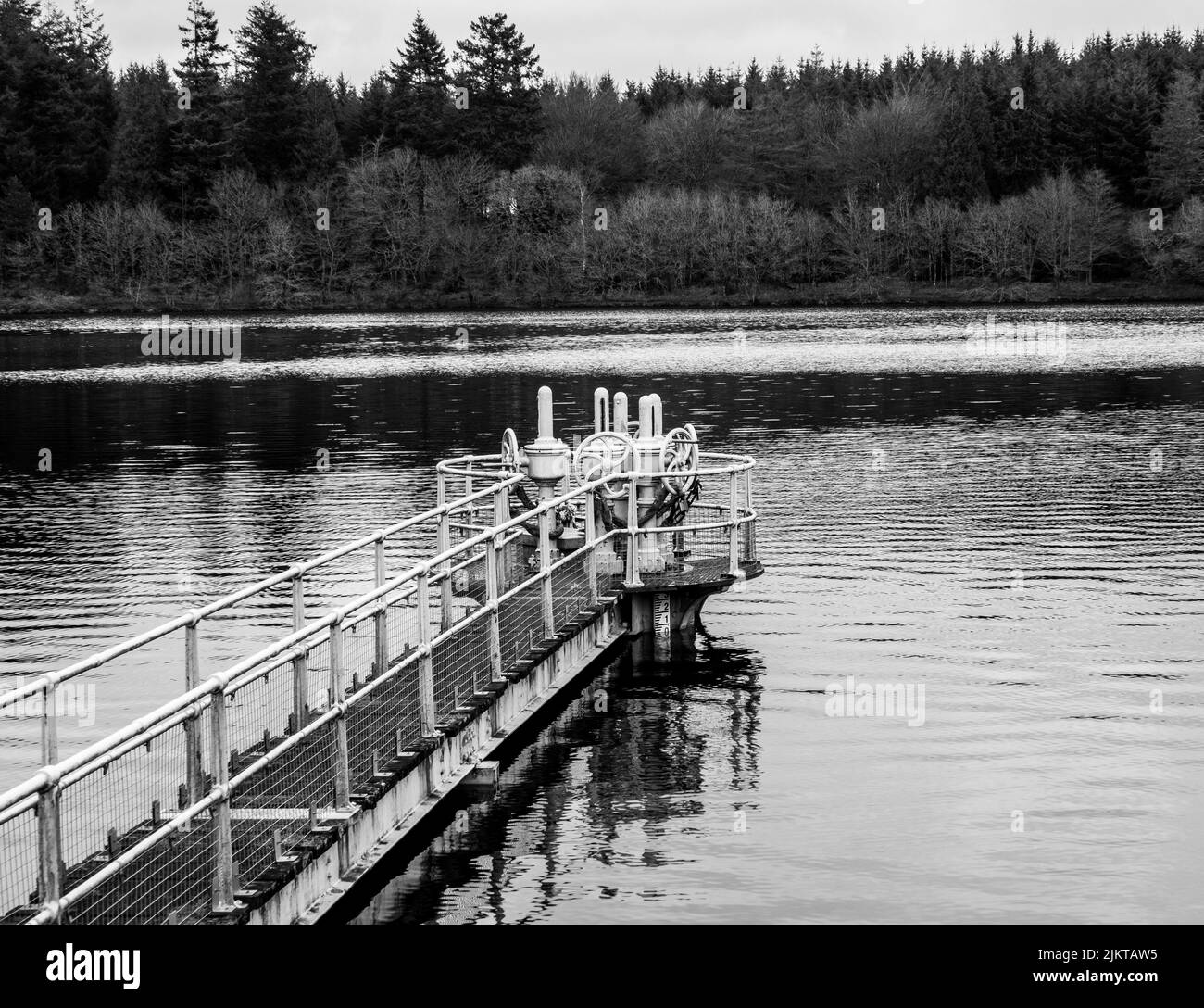 A greyscale shot of a metal walkway on a lake and trees on the side of ...