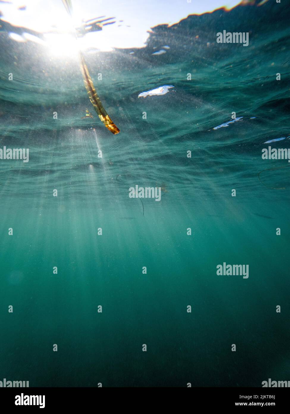 A beautiful shot of Sunlight shining through the underwater surface and ...