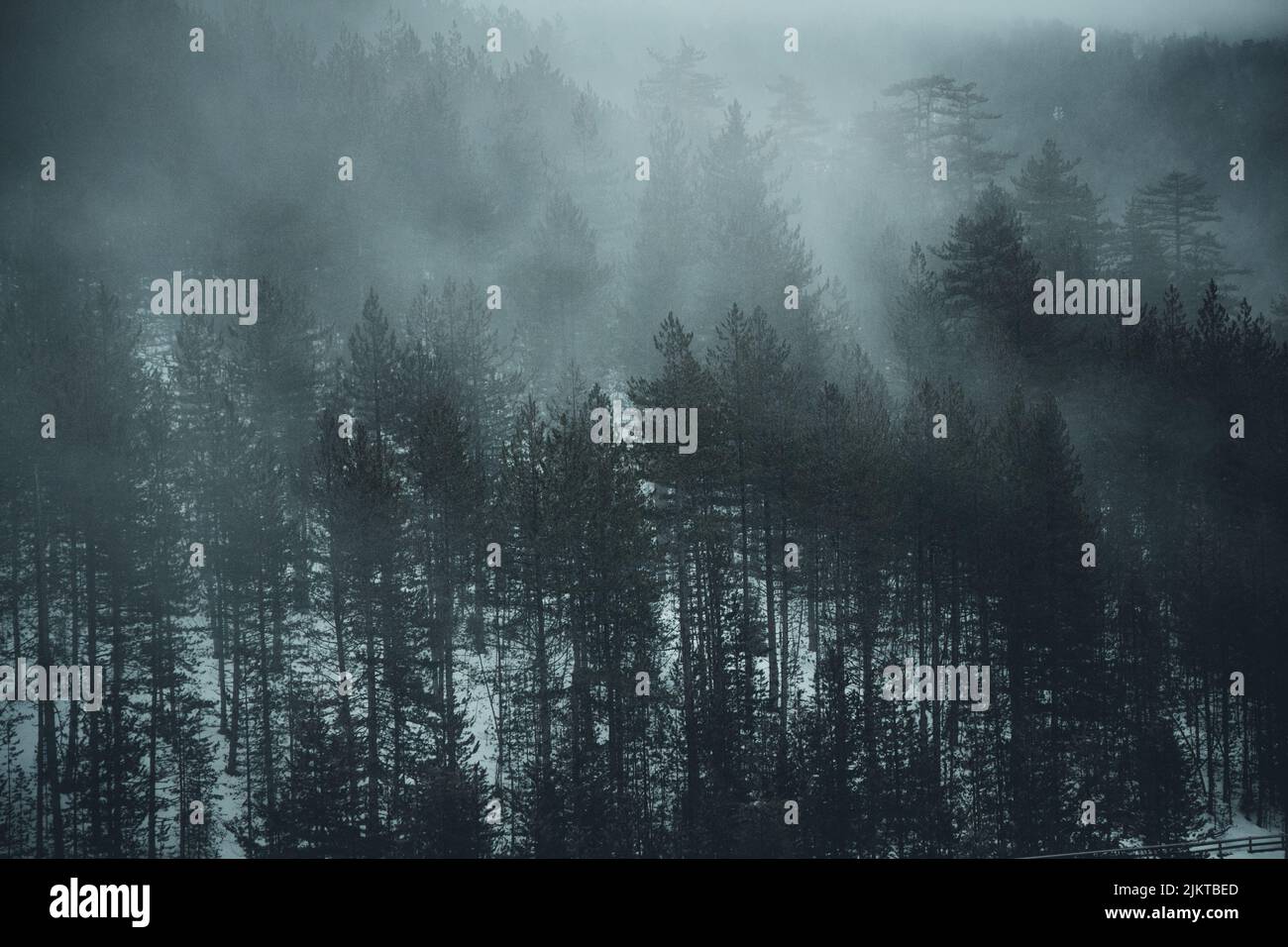 Aerial shot forest in nature hi-res stock photography and images - Alamy