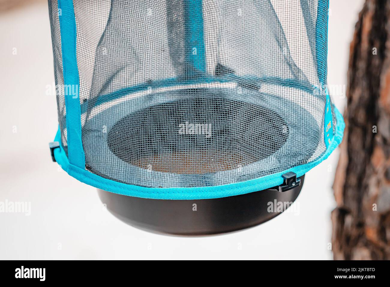 A modern trap for protection from insect pests, flies and bark beetles ...
