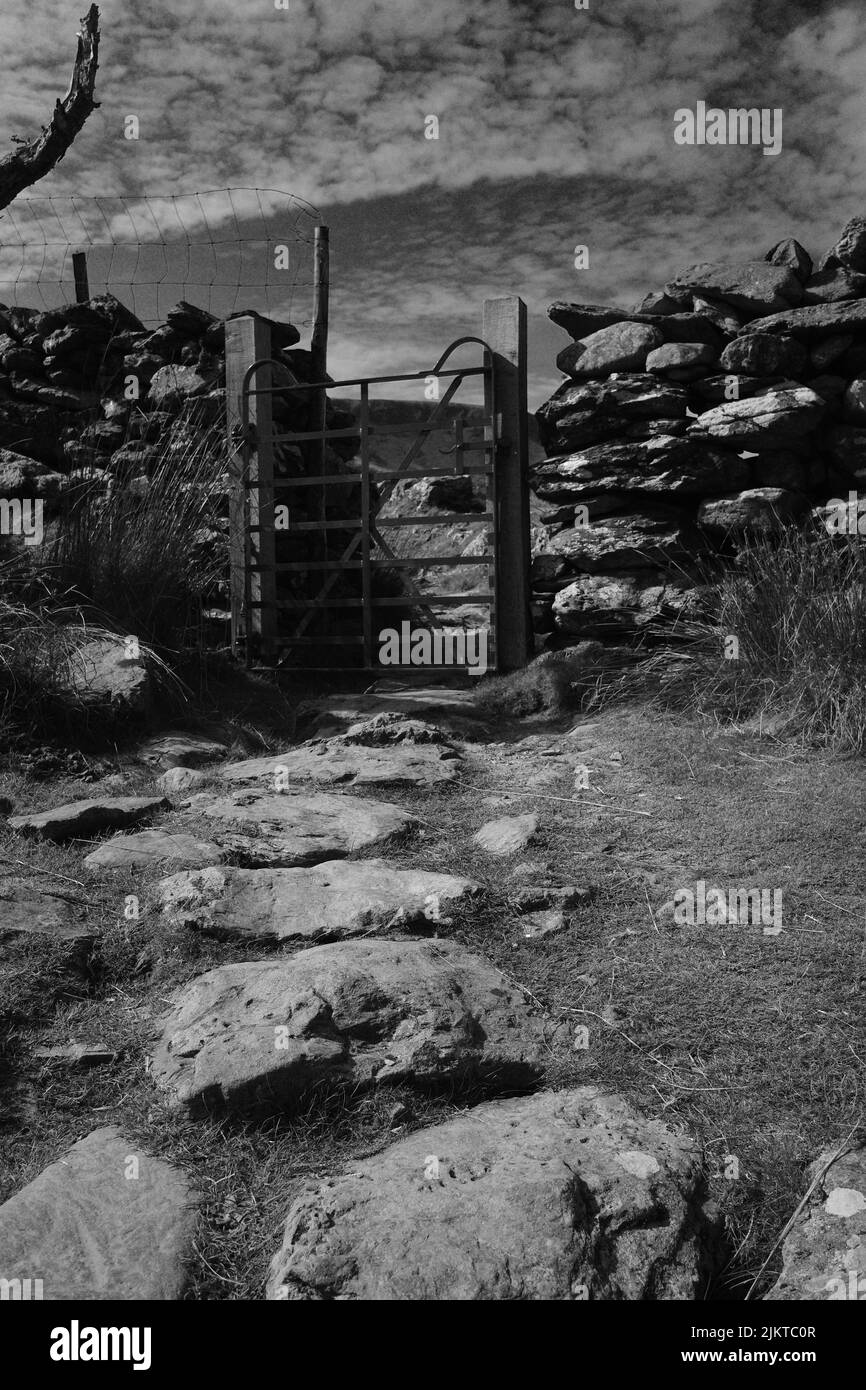 A grayscale of a rocky path in a yard under the cloudy sky Stock Photo ...