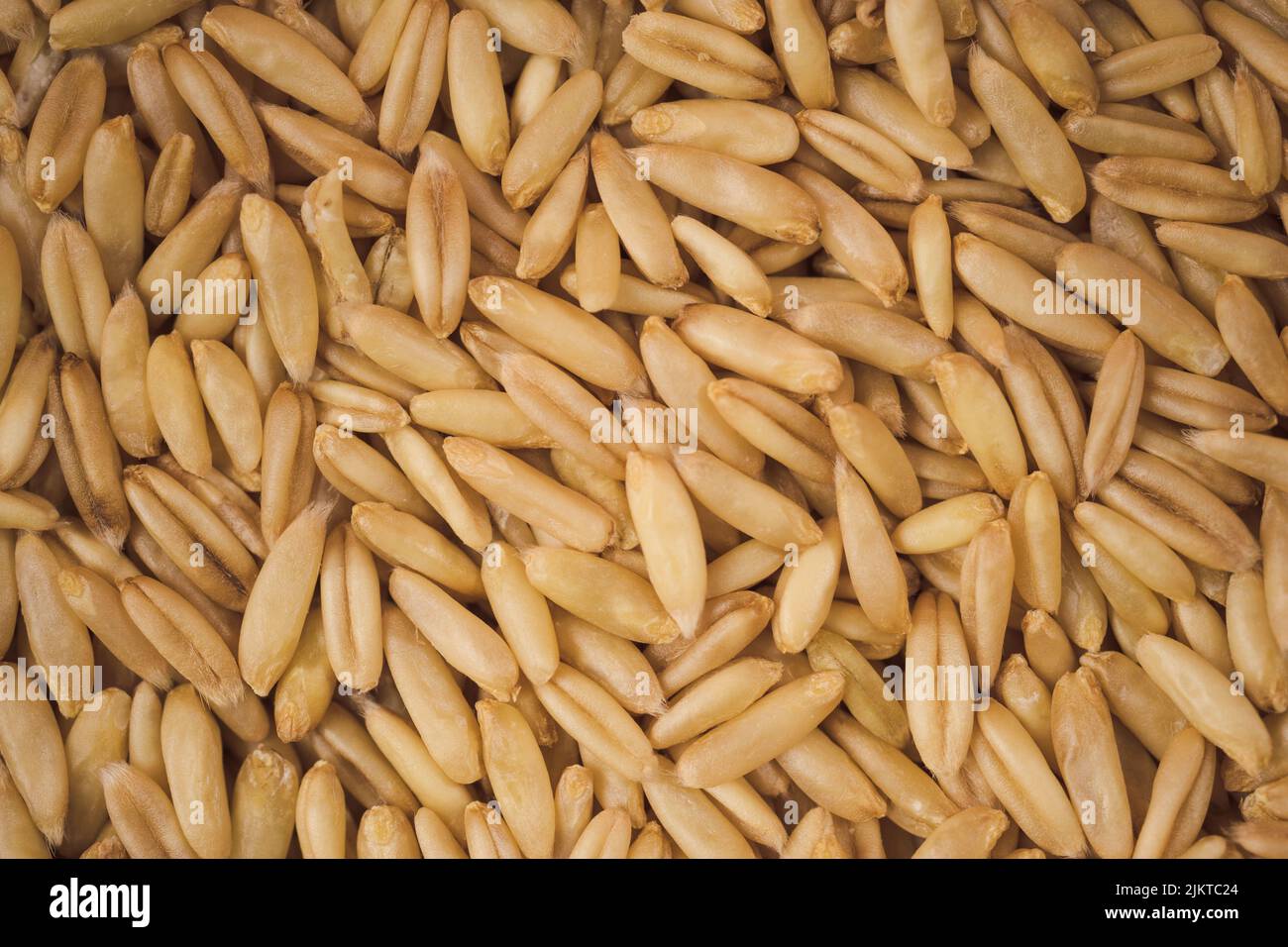 Staple food nutrition hi-res stock photography and images - Alamy