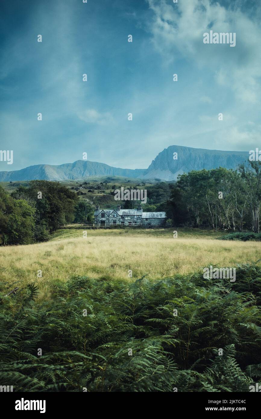 Village house under trees hi-res stock photography and images - Alamy