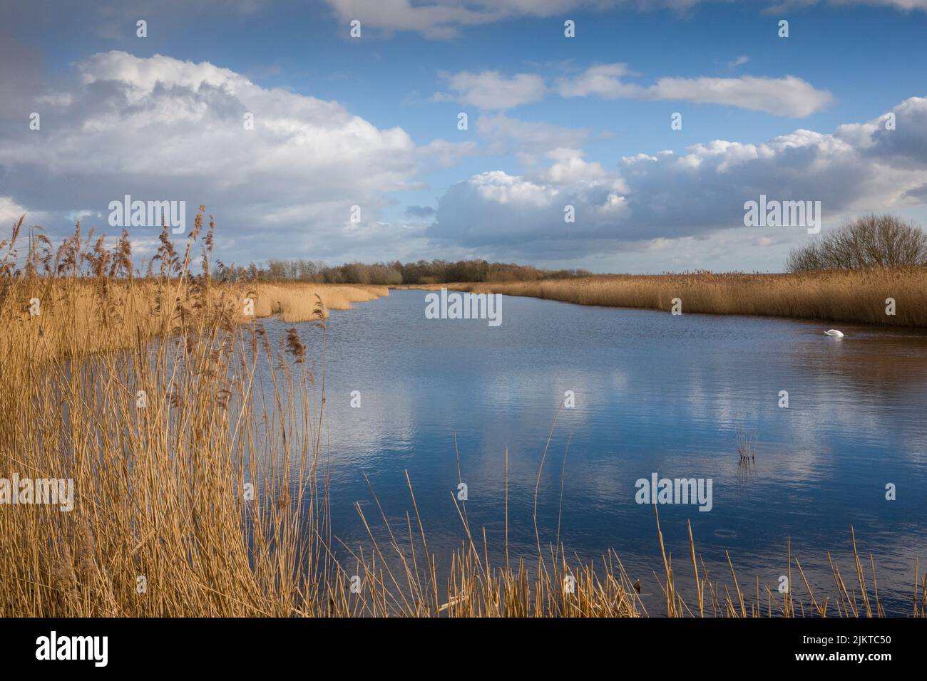 RSPB. Wetlands Reserve, Newport, Wales Stock Photo - Alamy