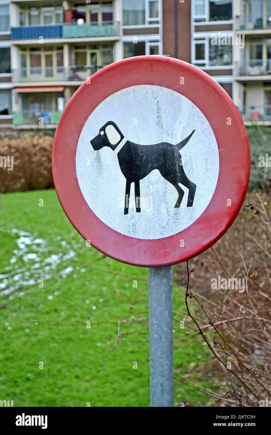 no dog (pets) walking as warning message on round street sign on metal ...