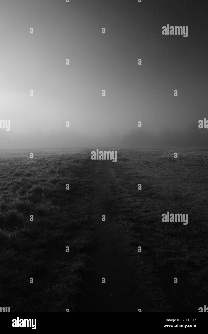 A vertical greyscale shot of a foggy day in Wimbledon Stock Photo - Alamy