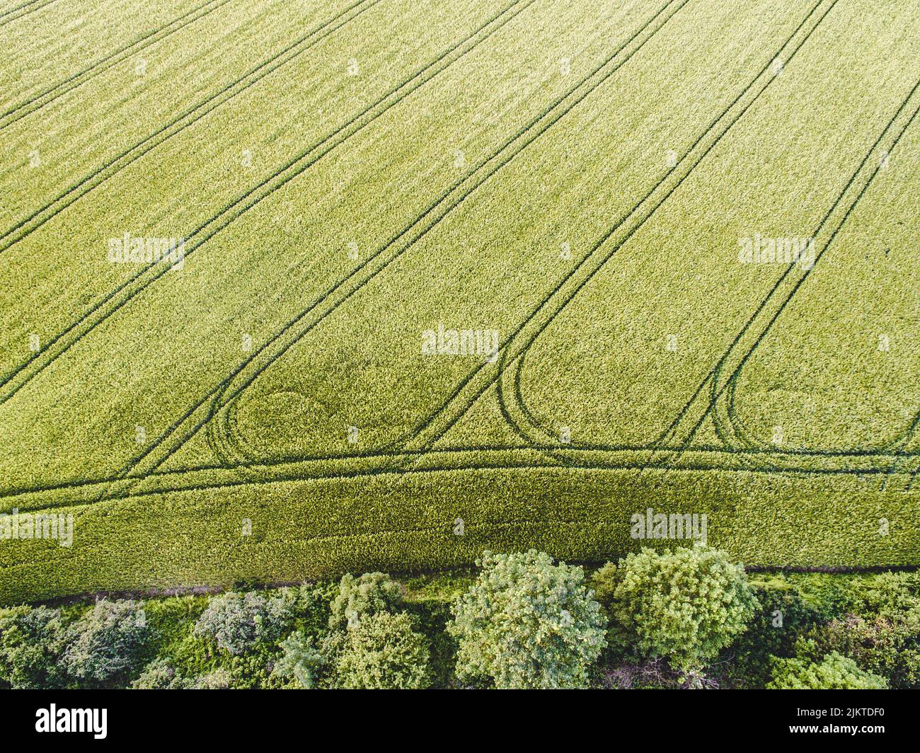 Very lush green fields hi-res stock photography and images - Alamy