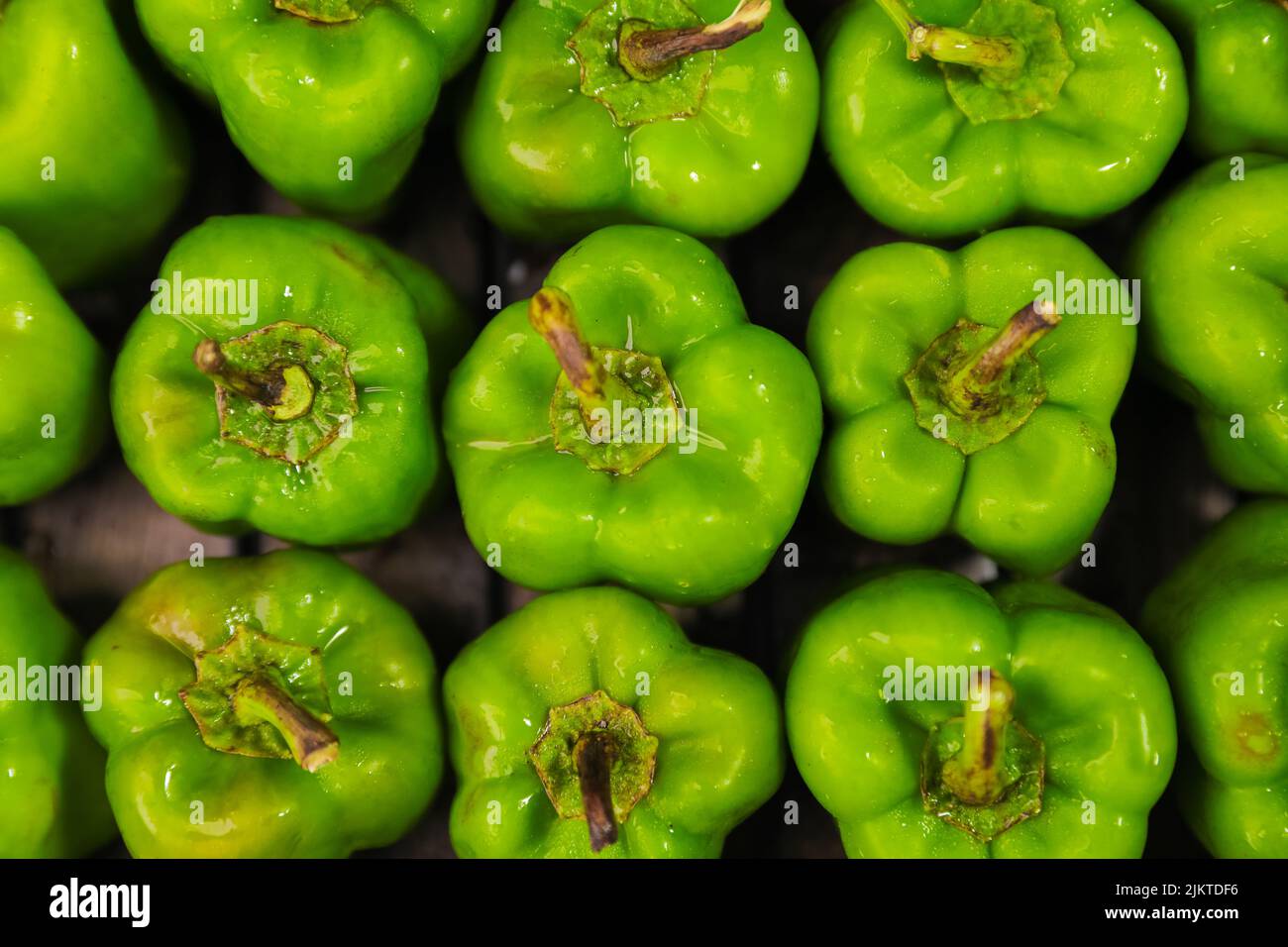 Top view green peppers hi-res stock photography and images - Alamy
