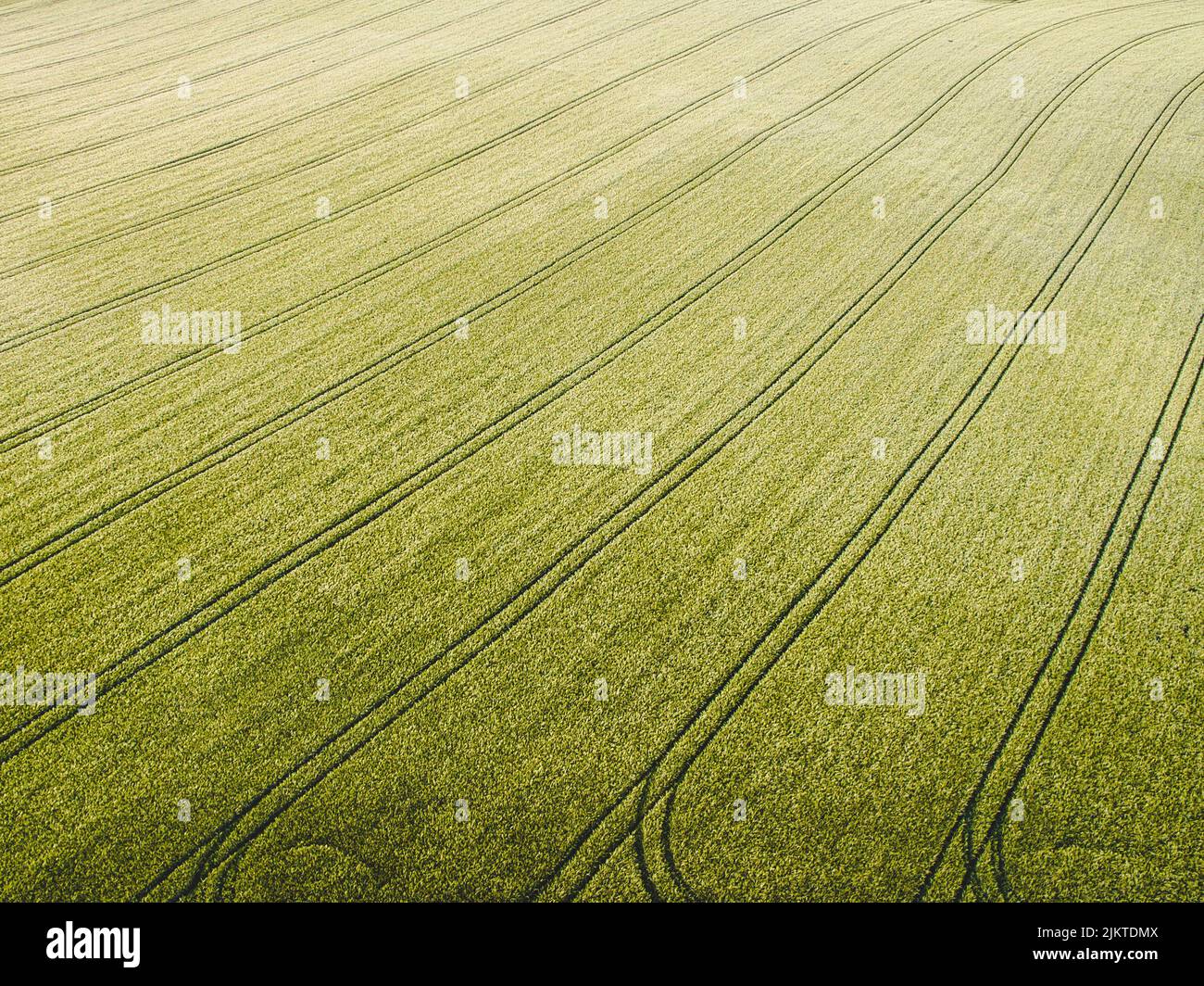 Green lush fields agriculture hi-res stock photography and images - Alamy