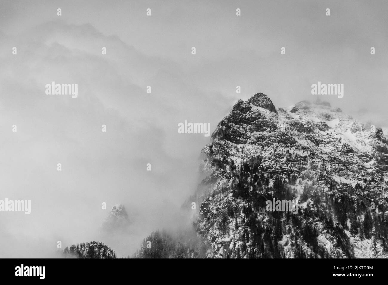 A view of snow covered trees in background of huge mountain in foggy ...