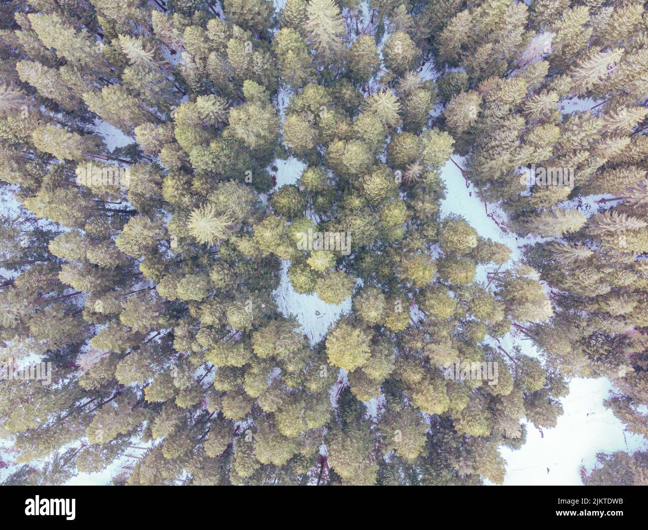 Birds eye view of the air hi-res stock photography and images - Alamy