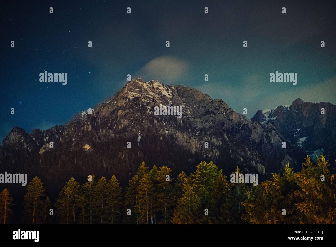 Forest and greenery hi-res stock photography and images - Alamy