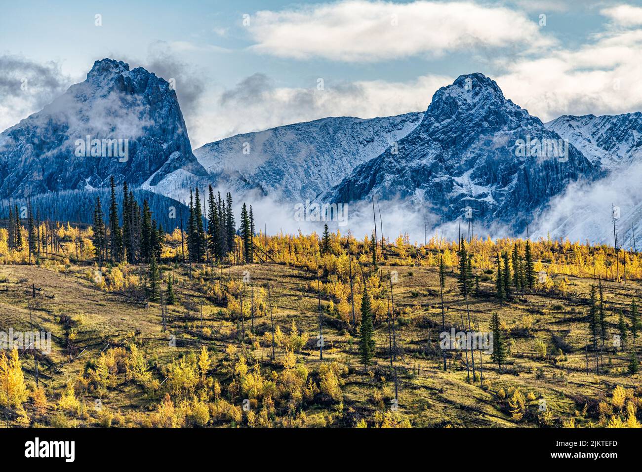 Beautiful landscape forest mountains nature hi-res stock photography ...