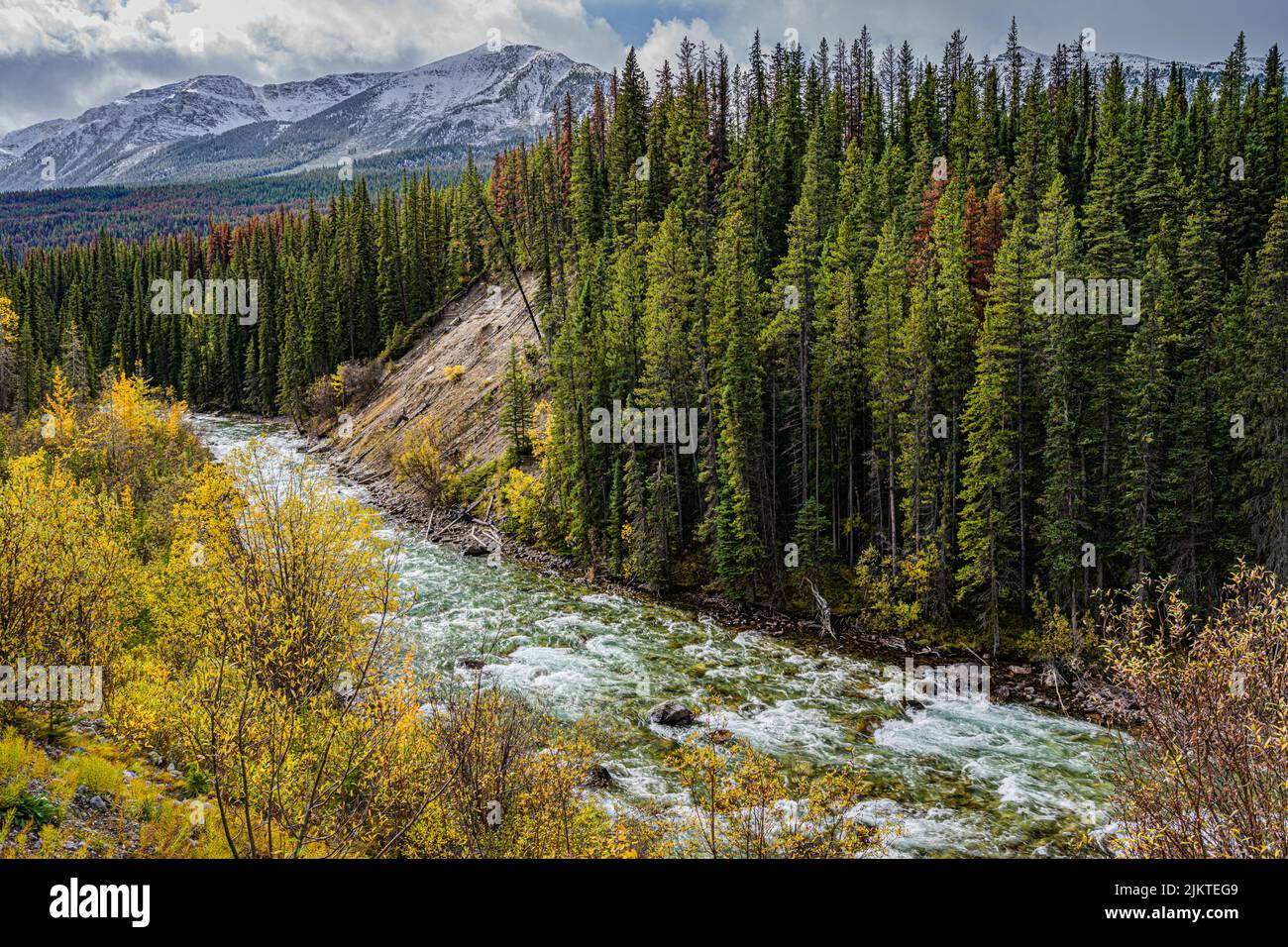 The river surrounded by pine trees. Canadian nature Stock Photo - Alamy