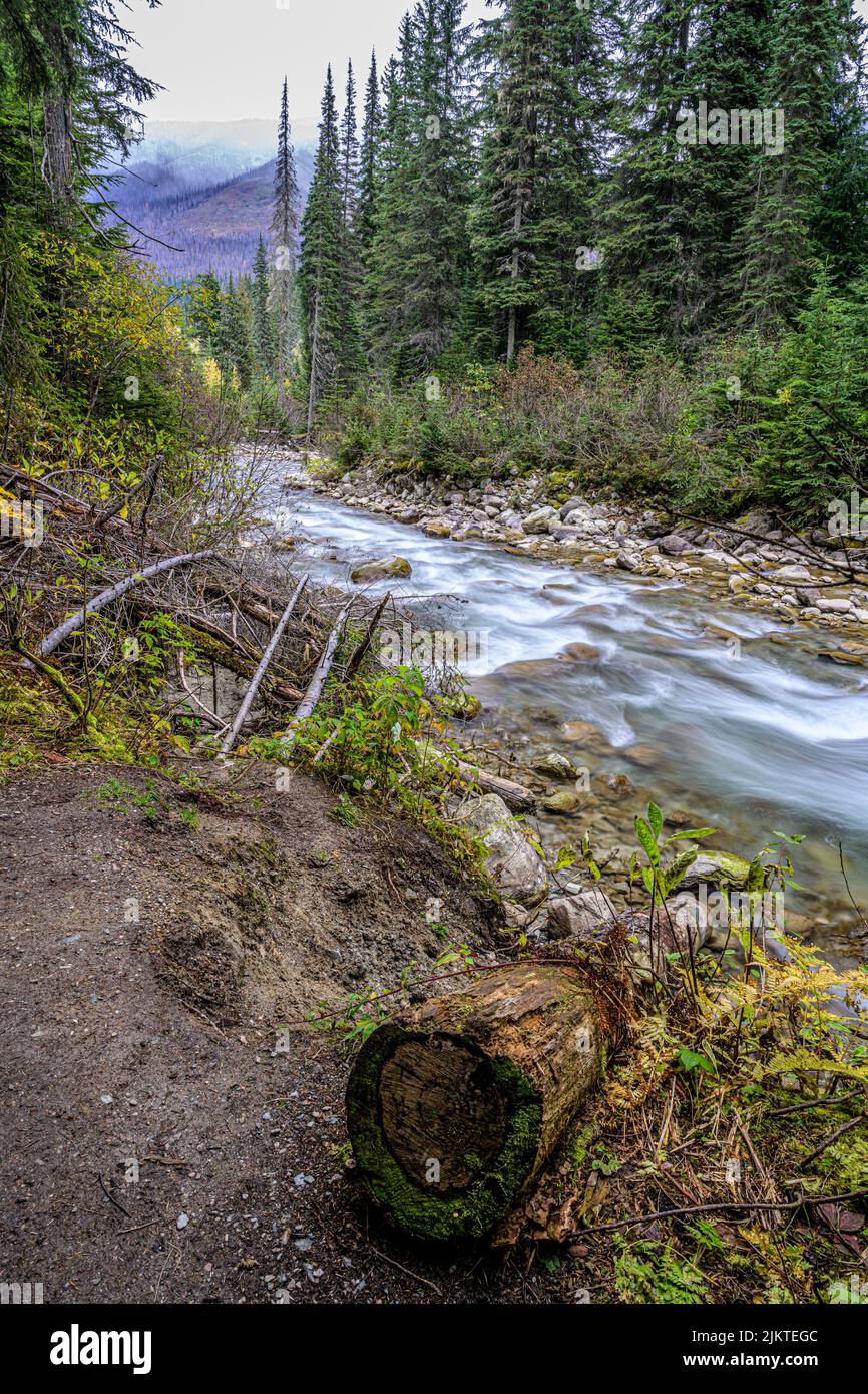 Vertical canadian landscape hi-res stock photography and images - Alamy