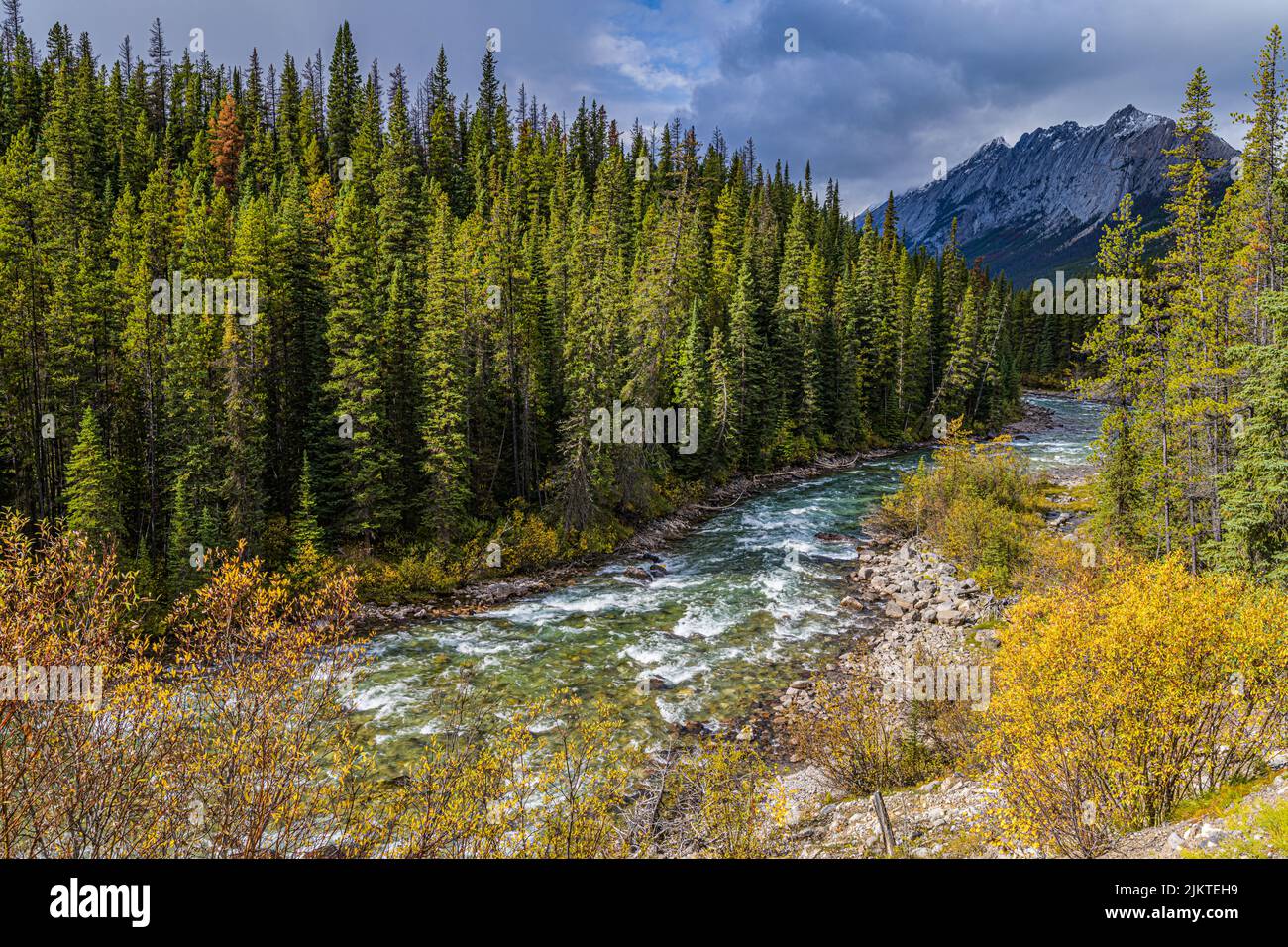 The river surrounded by pine trees. Canadian nature Stock Photo - Alamy