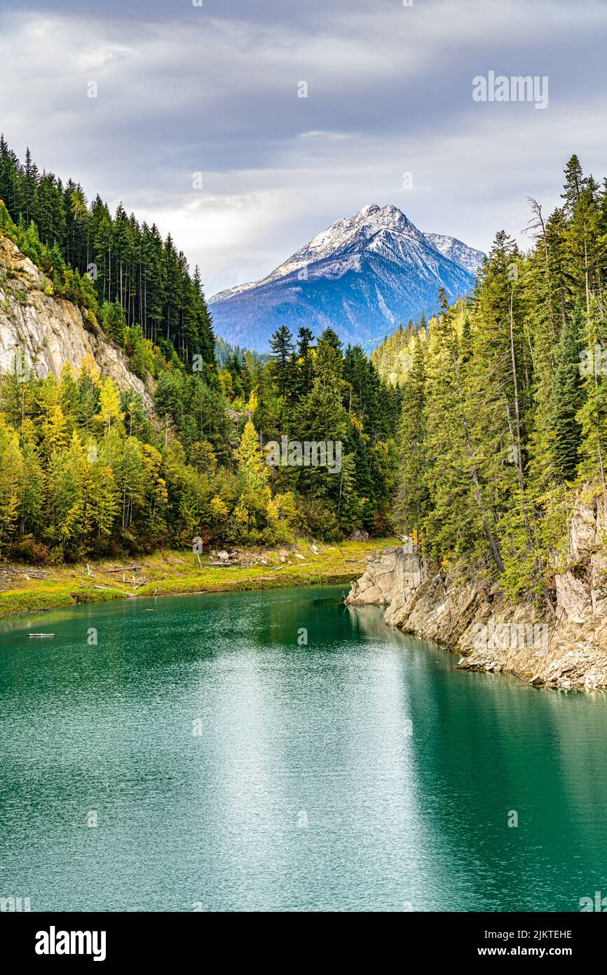 A vertical shot of a green river surrounded by pine trees against the ...