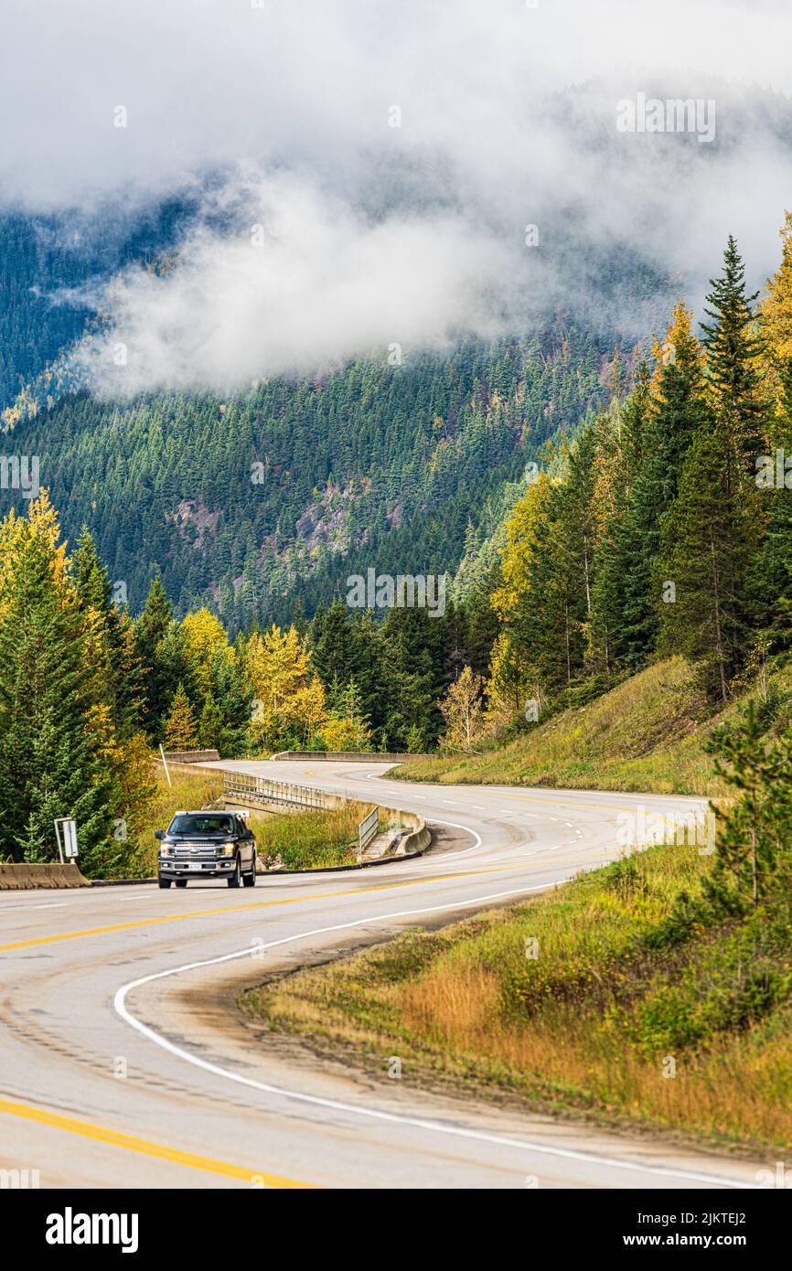 A vertical shot of the car on the road surrounded by pine trees ...