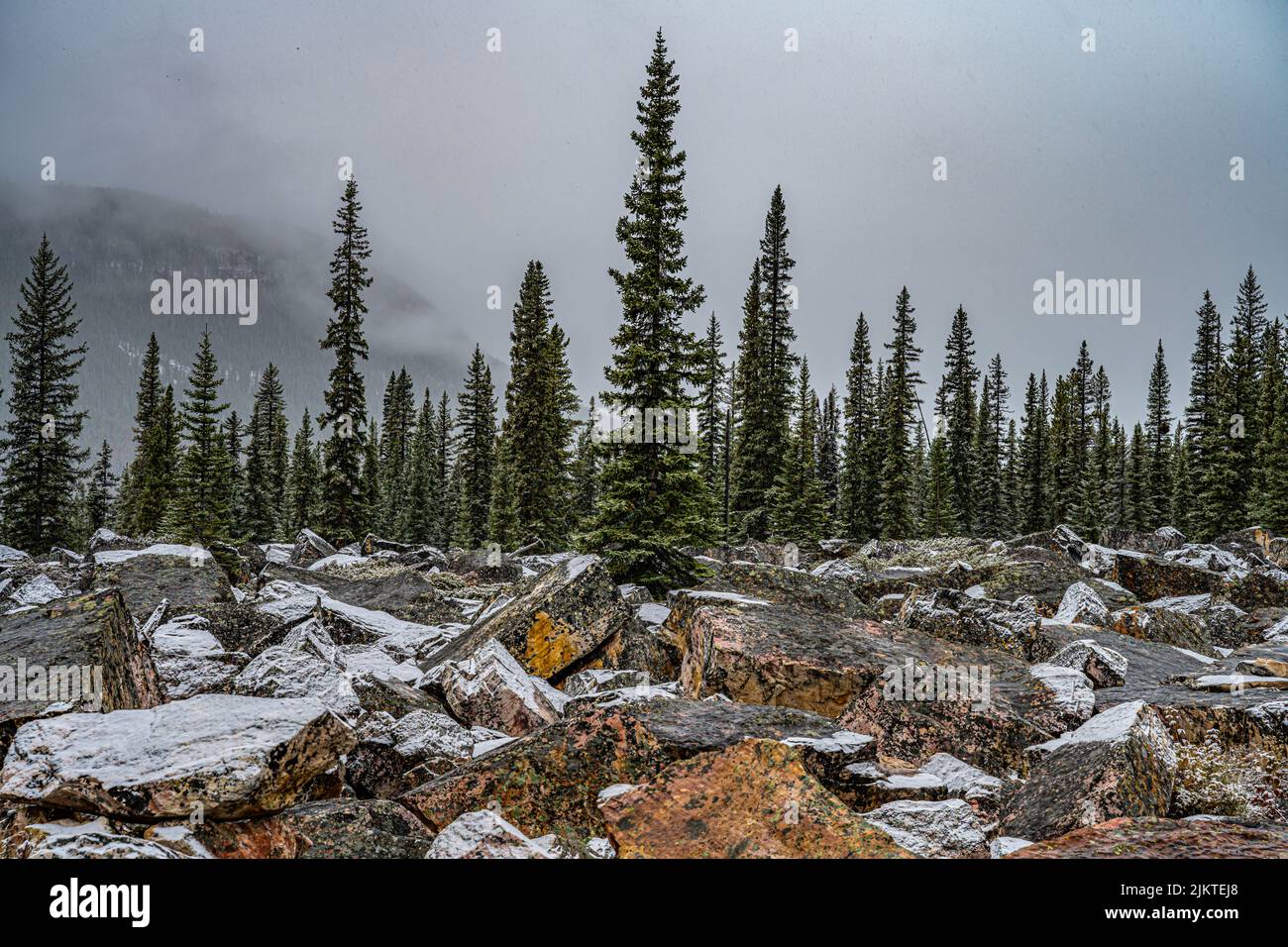 The rocks and pine trees against the cloudy sky. Canadian nature Stock ...