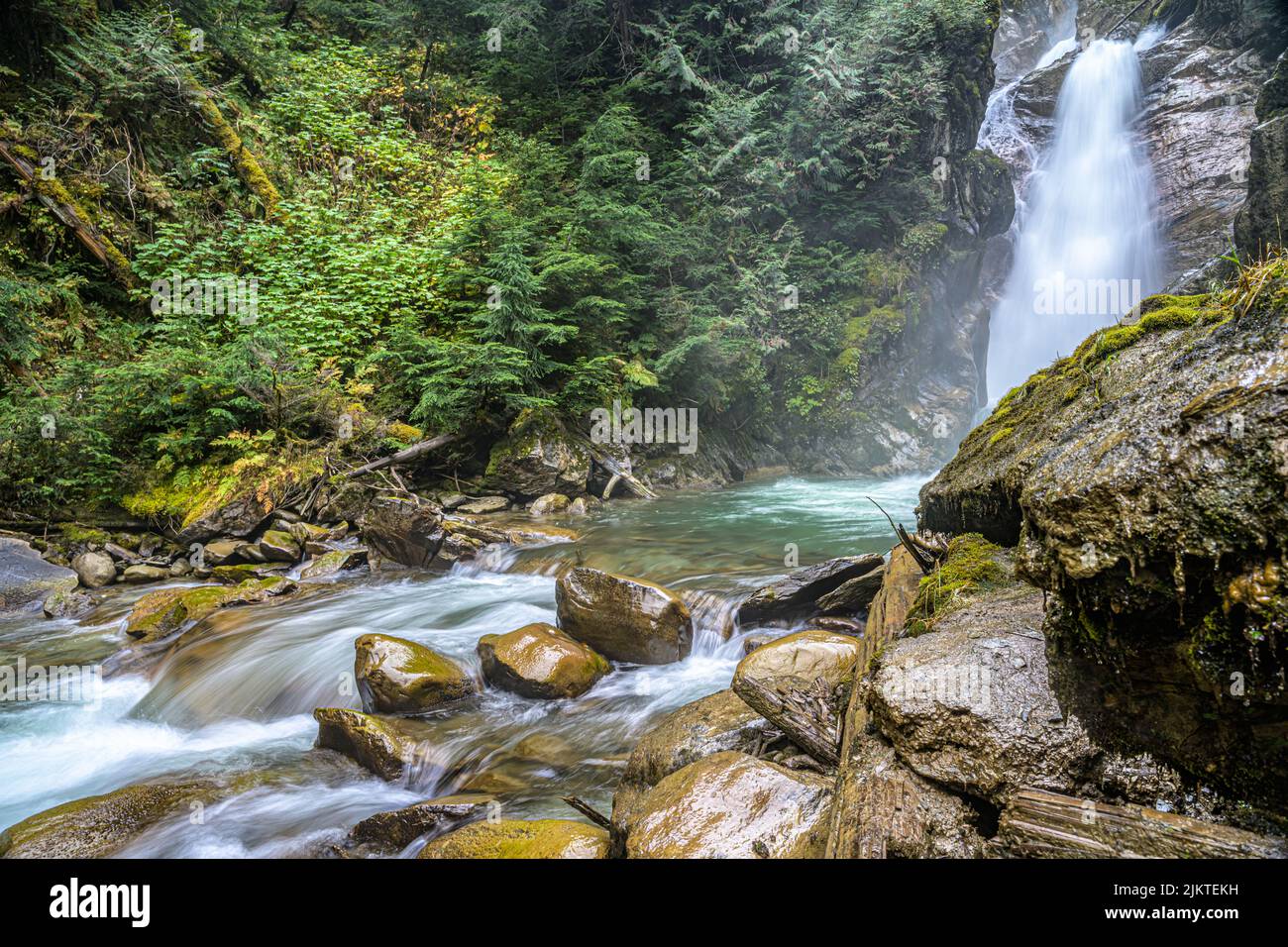 The beautiful waterfall in the green forest. Canadian nature Stock ...