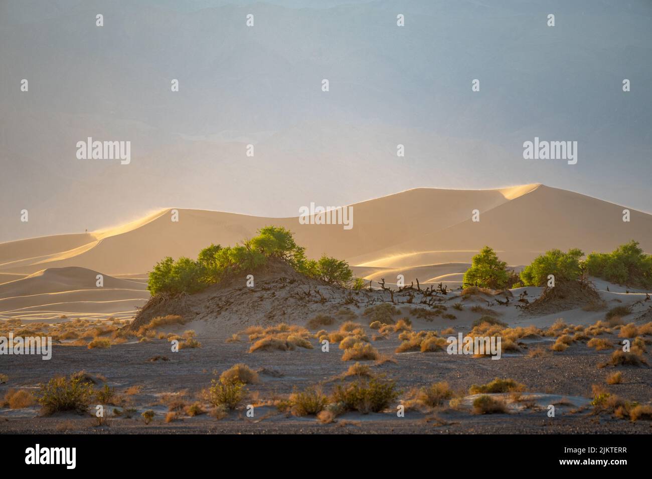 Dunes of mojave desert hi-res stock photography and images - Alamy