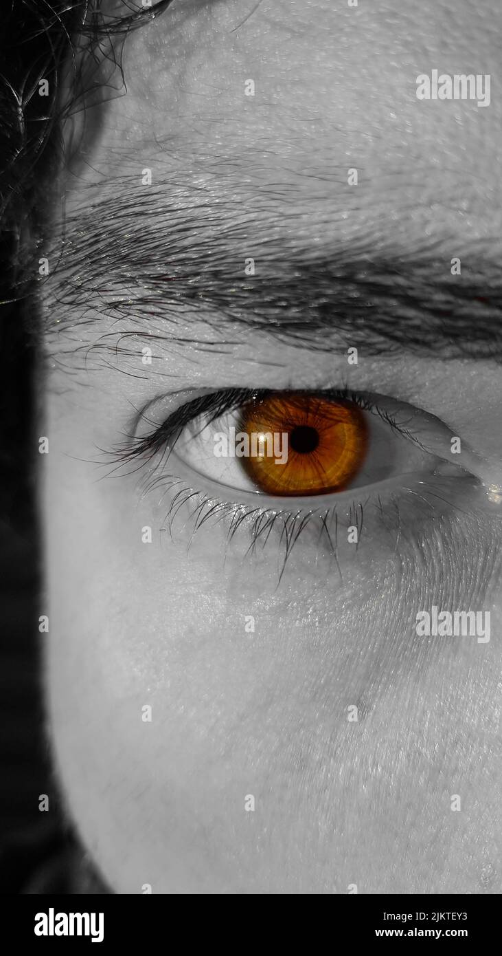 Closeup of a human eye hi-res stock photography and images - Alamy