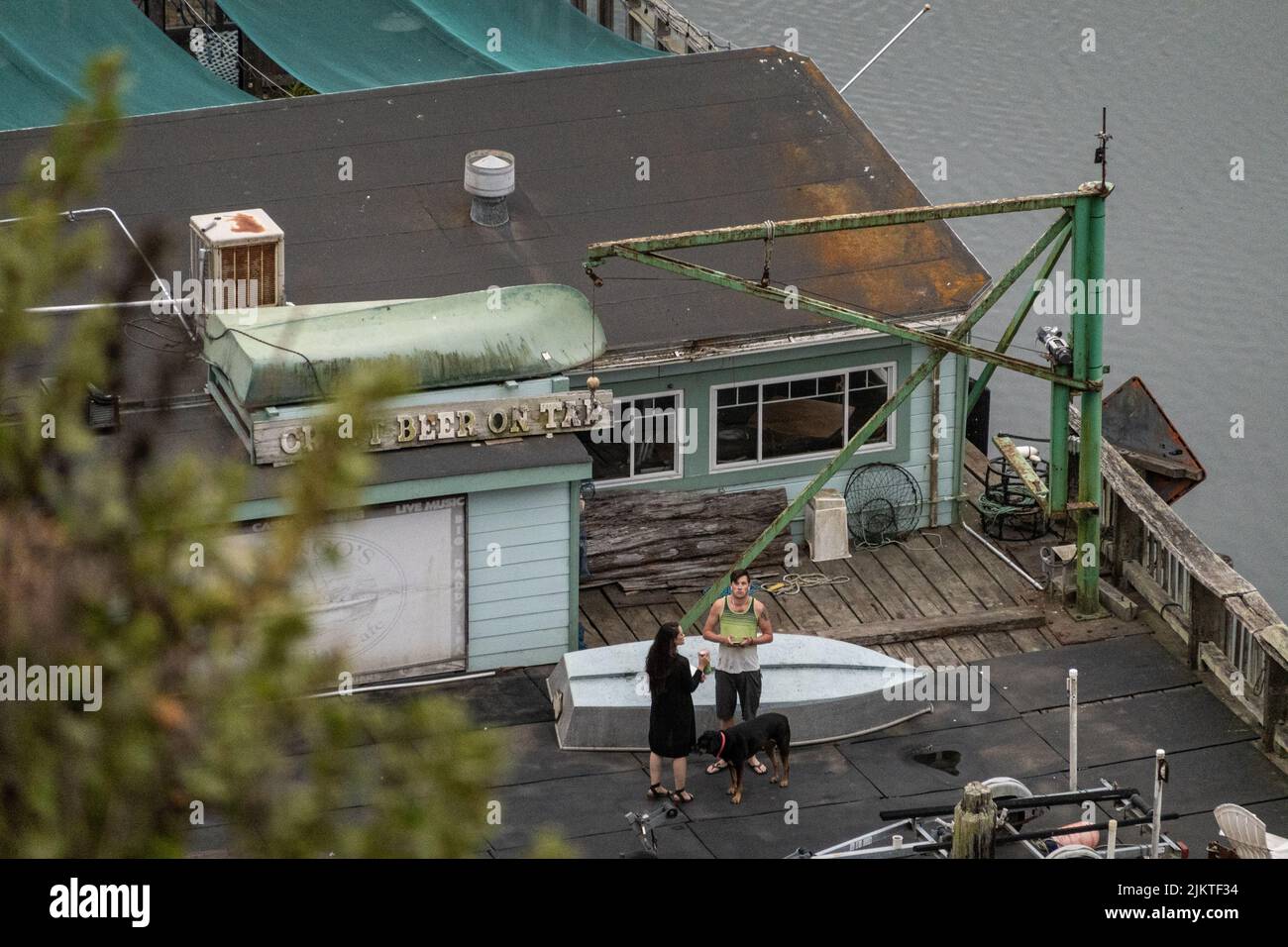 An aerial view of a young couple and their dog on the harbor Stock ...