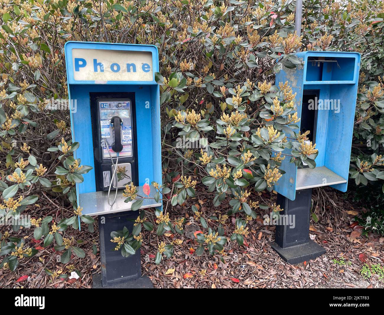 Old telephone isolated blue hi-res stock photography and images - Alamy