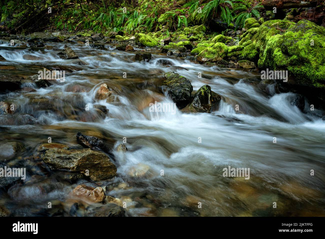 Goldstream Provincial Park, Victoria, BC Canada Stock Photo - Alamy
