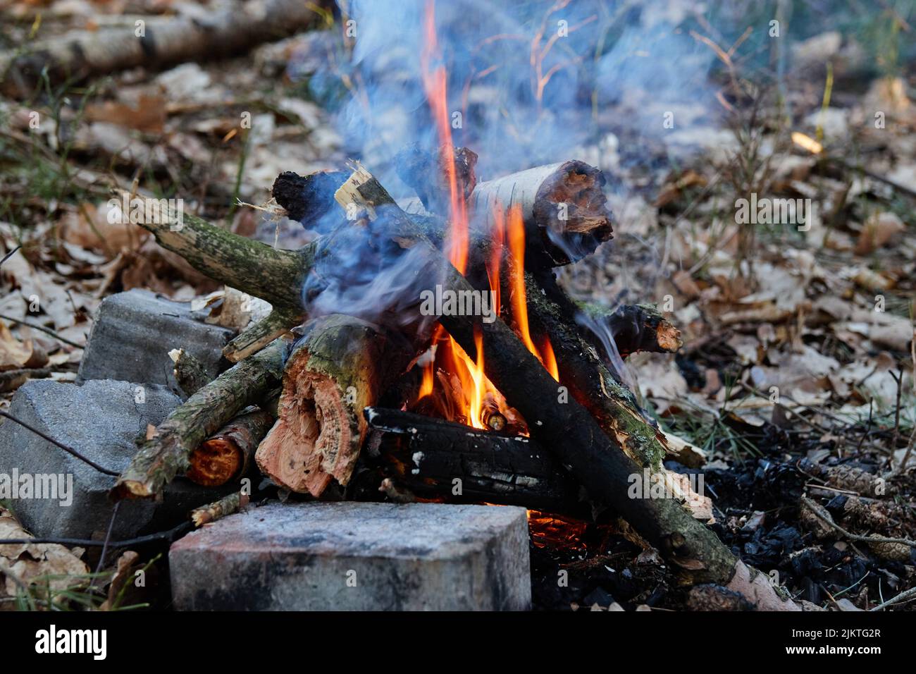 Campfire in the forest hi-res stock photography and images - Alamy