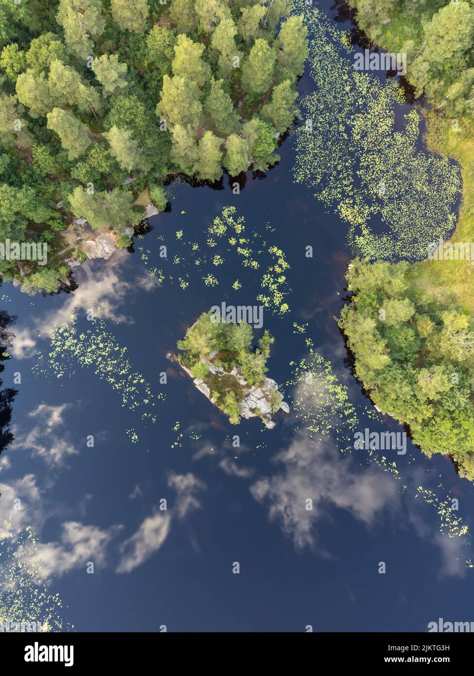 Birds Eye View Photography Nature