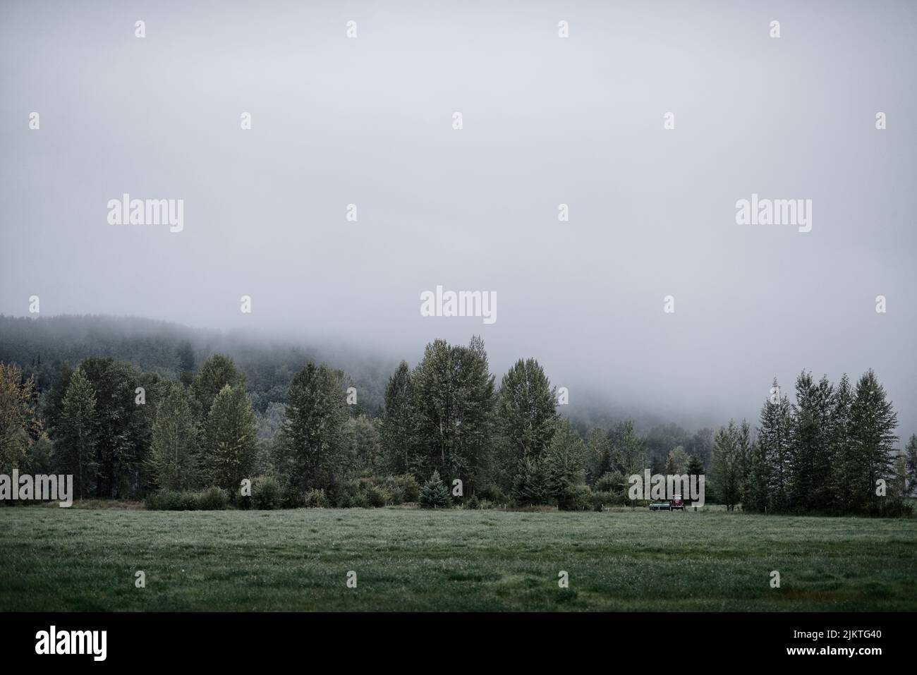 Jason stang hi-res stock photography and images - Alamy