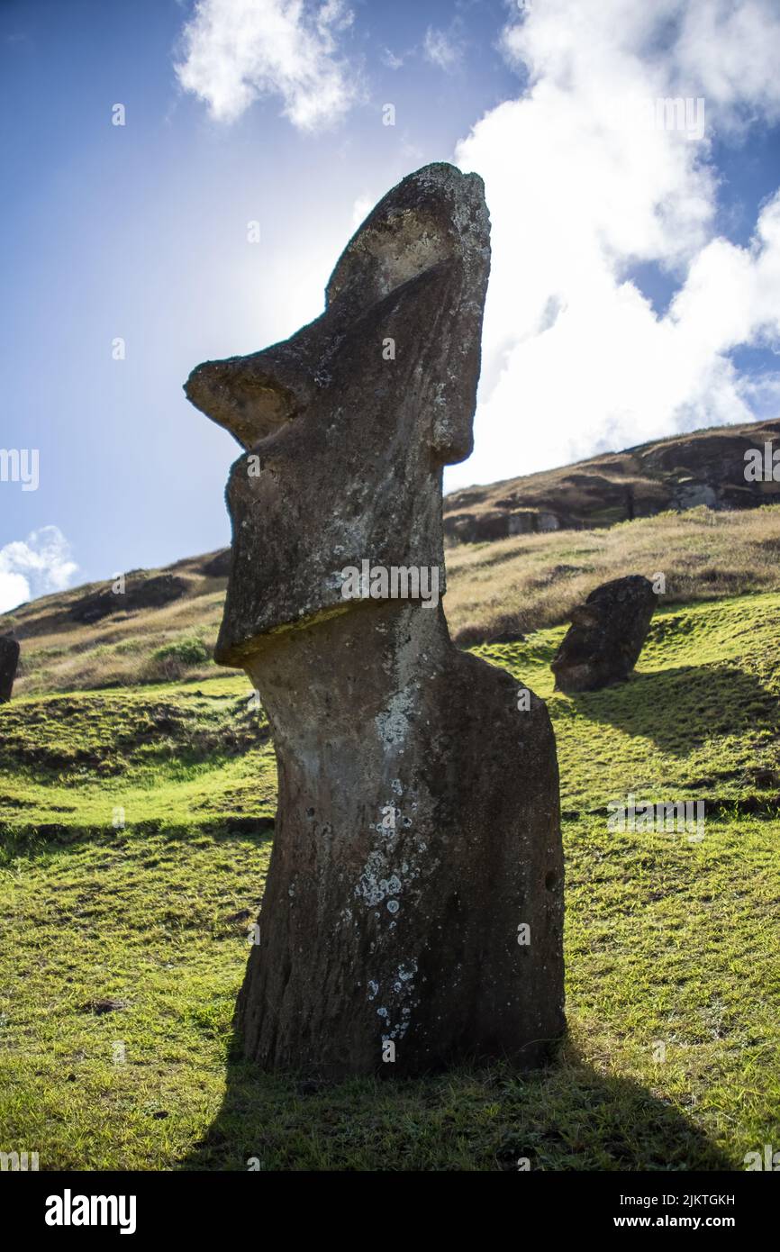 A vertical closeup of an antique Moai stone statue on Easter Island ...