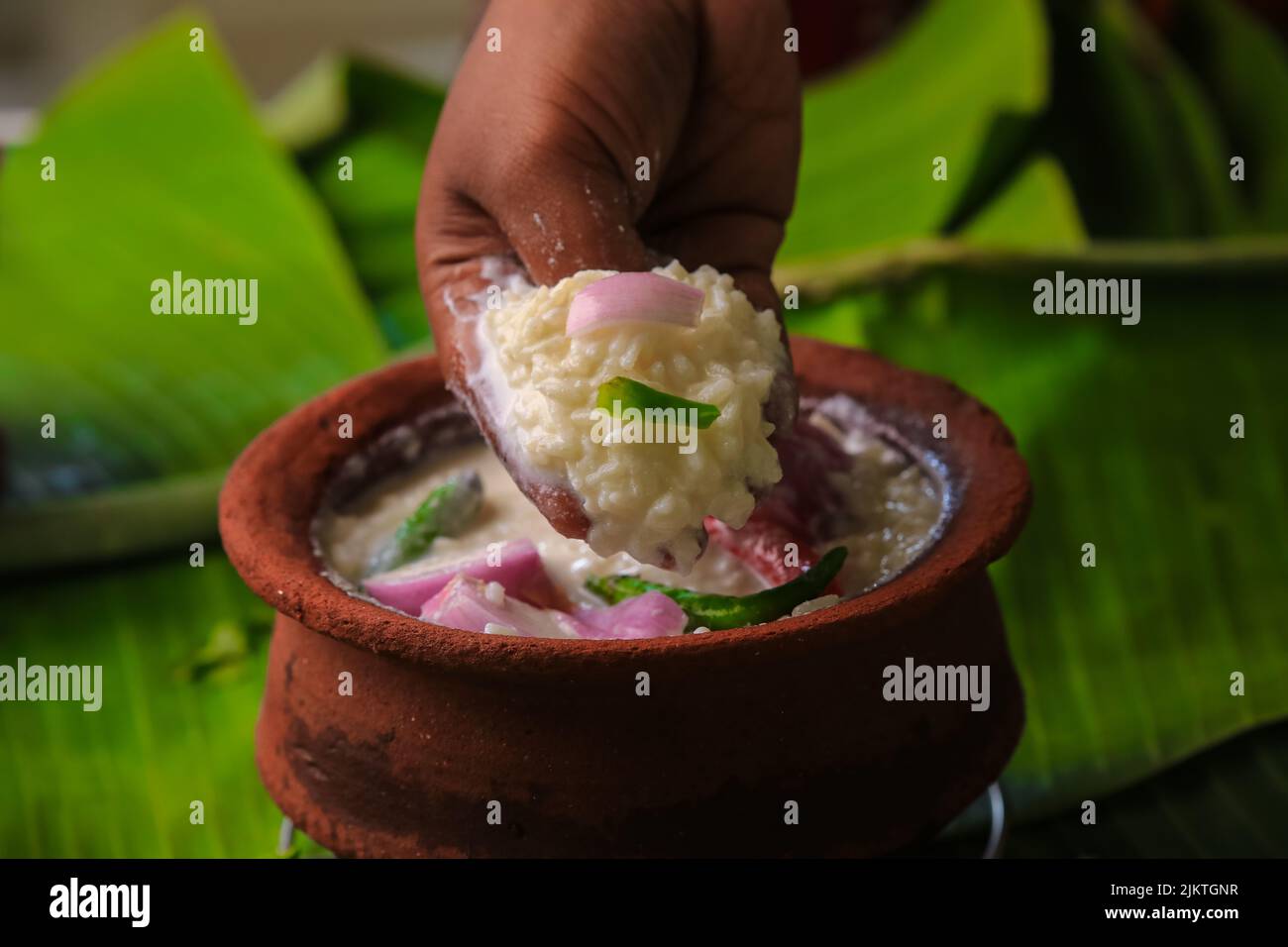 chaddannam indian famous traditional fermented rice with curd rice,curd ...