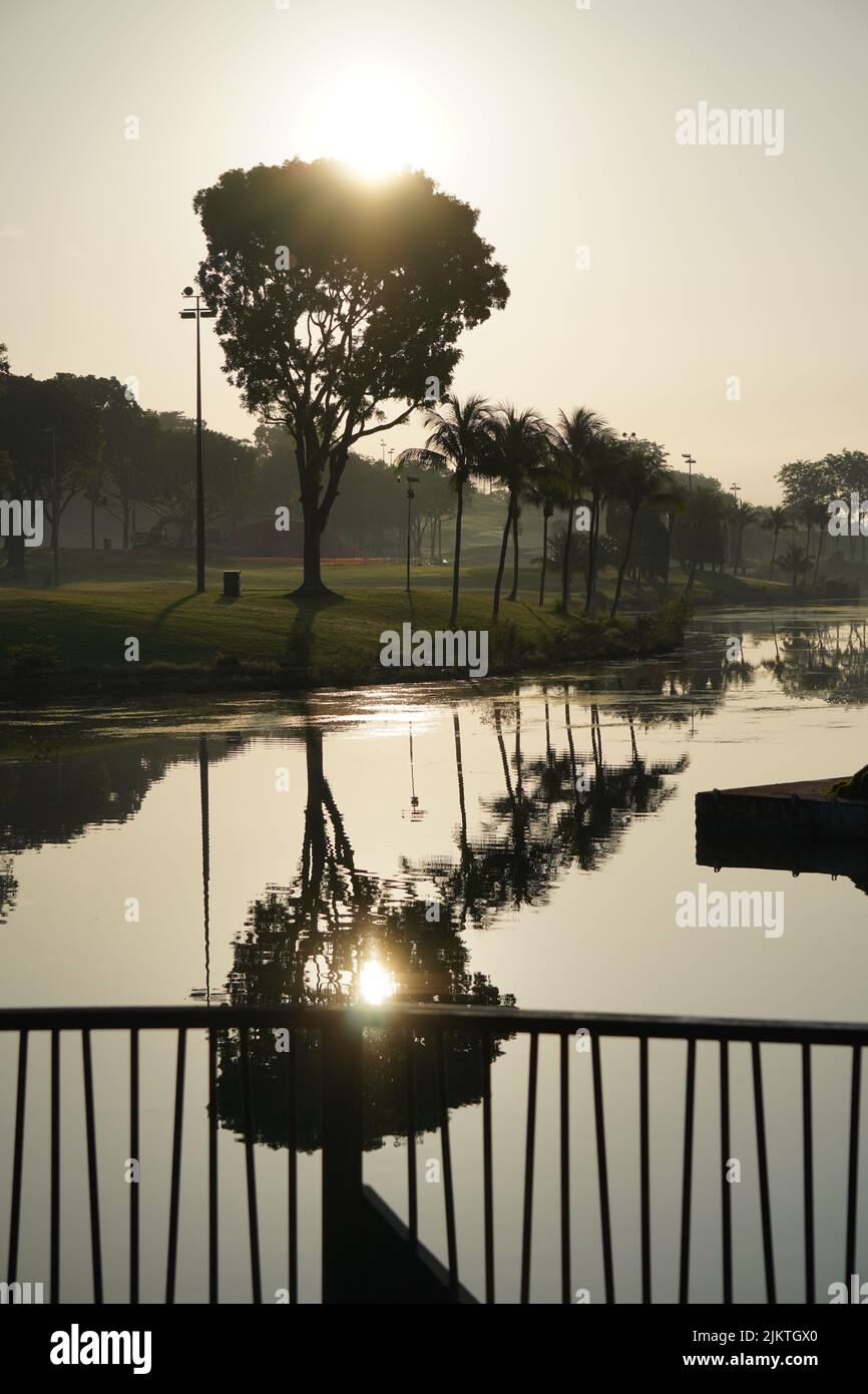 Vertical shot reflection trees hi-res stock photography and images - Alamy