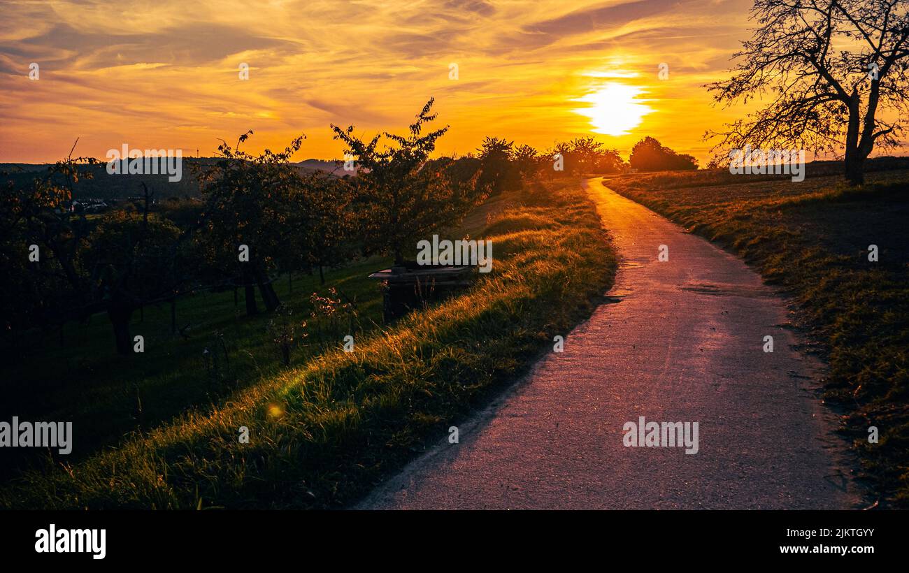 A breathtaking view of the bright sun shining over a path through the ...