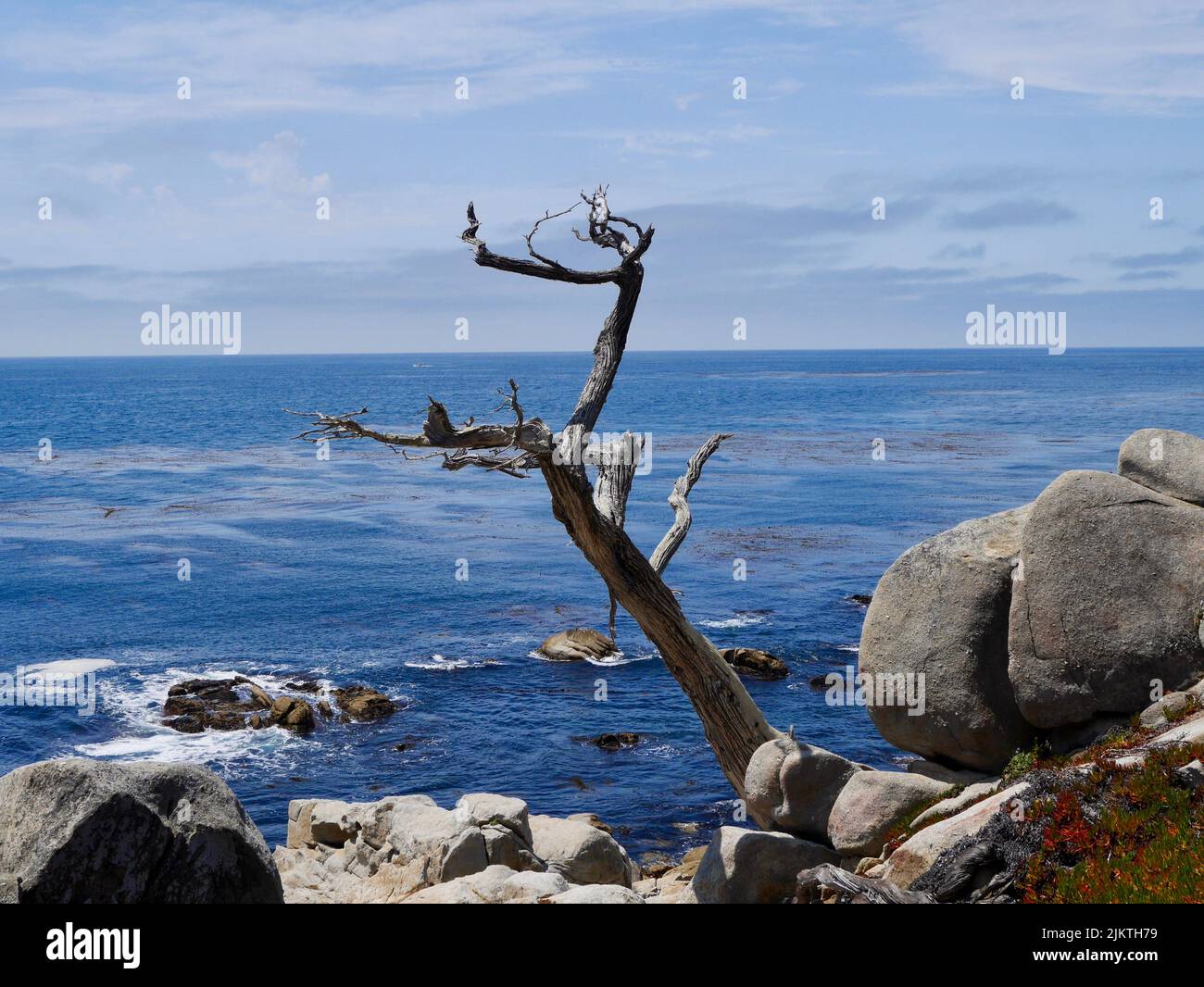 Curved beach and rocks hi-res stock photography and images - Alamy