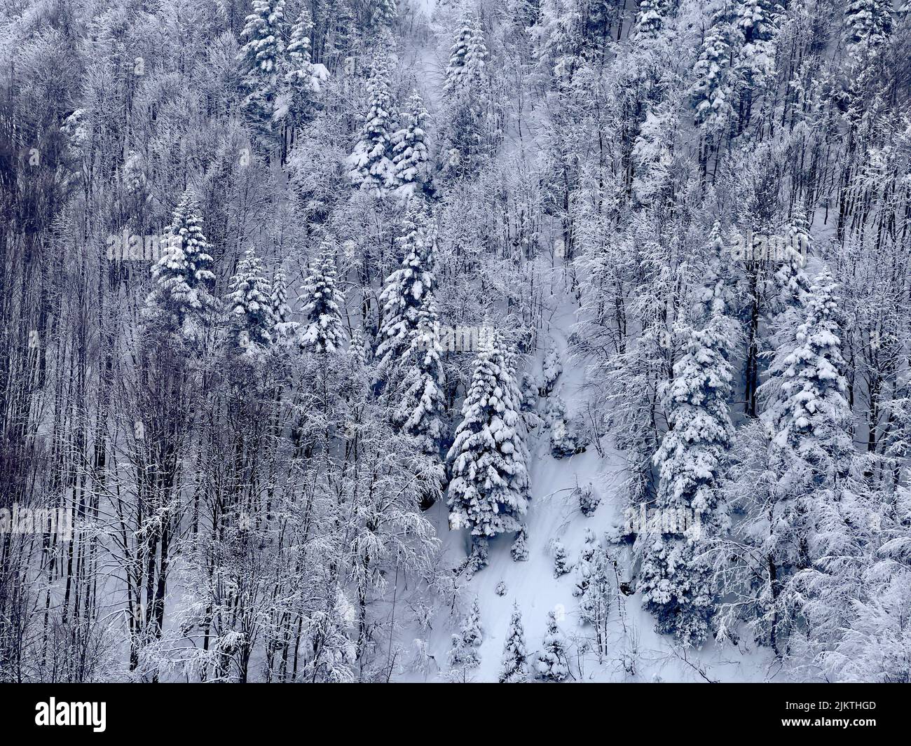 A beautiful view of the snowy Bursa Uludag Mountain National Park in ...