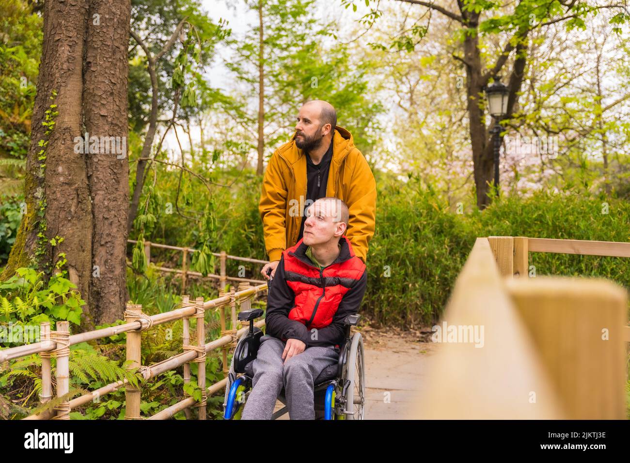 Paralyzed young man in the wheelchair being pushed by a friend in a ...